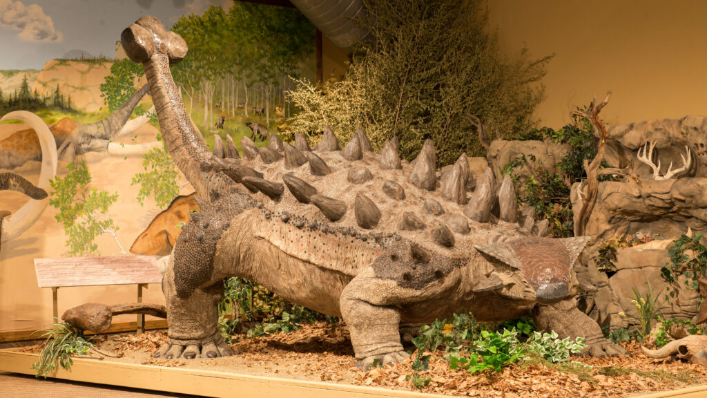 Glendive Dinosaur & Fossil Museum - Glendive, MT - Visit Creation