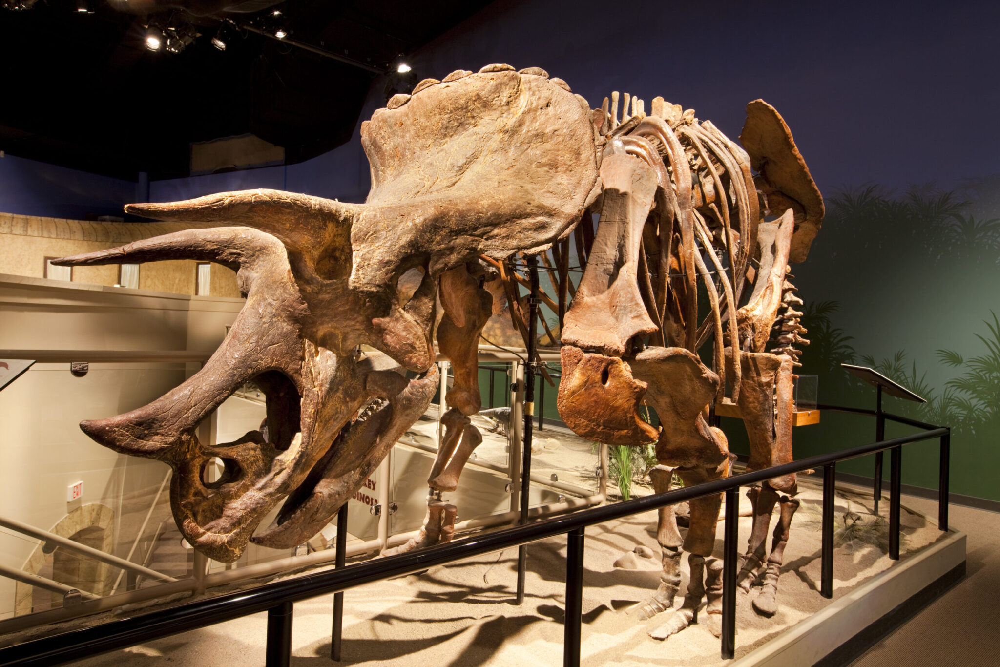 Creation Museum - Visit Creation